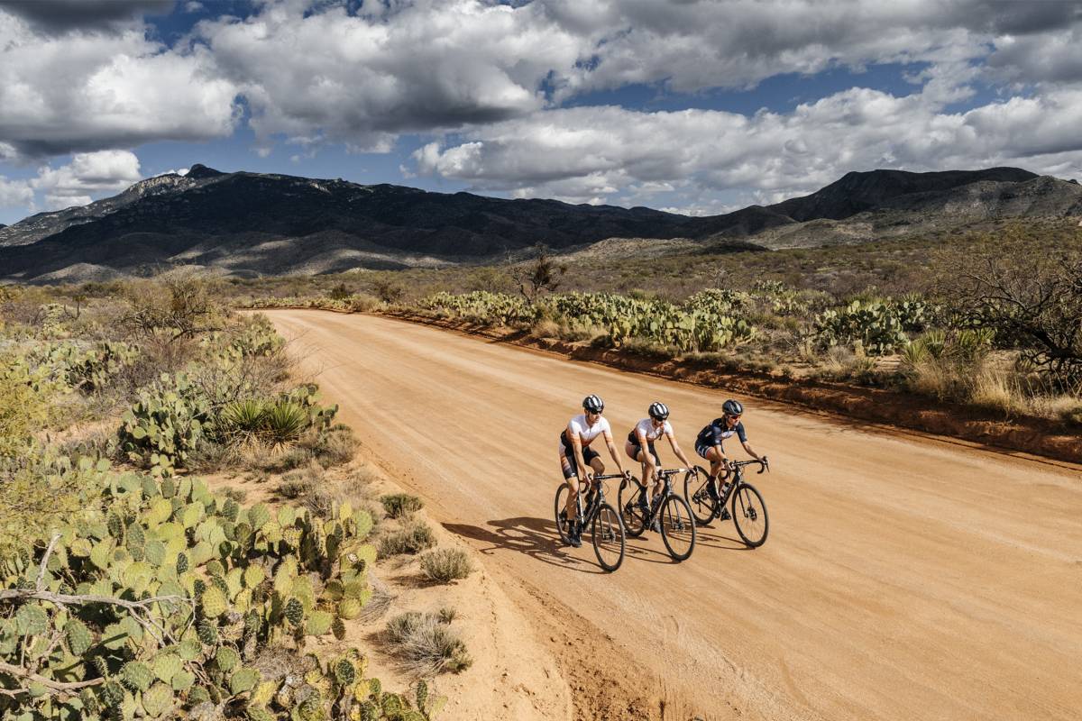 Walmart Says Its High-End Viathon Bikes Will Grow Cycling | GearJunkie