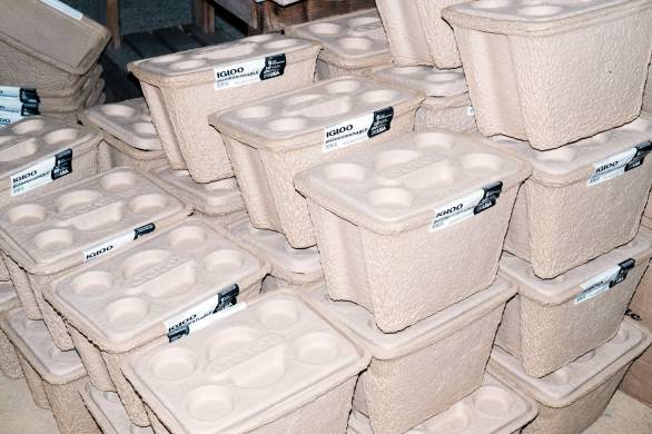 Hate Styrofoam Coolers? Igloo Launches First Biodegradable Alternative ...