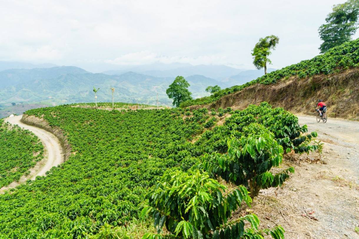 Bike-Touring Colombia's 'Coffee Triangle' Region | GearJunkie