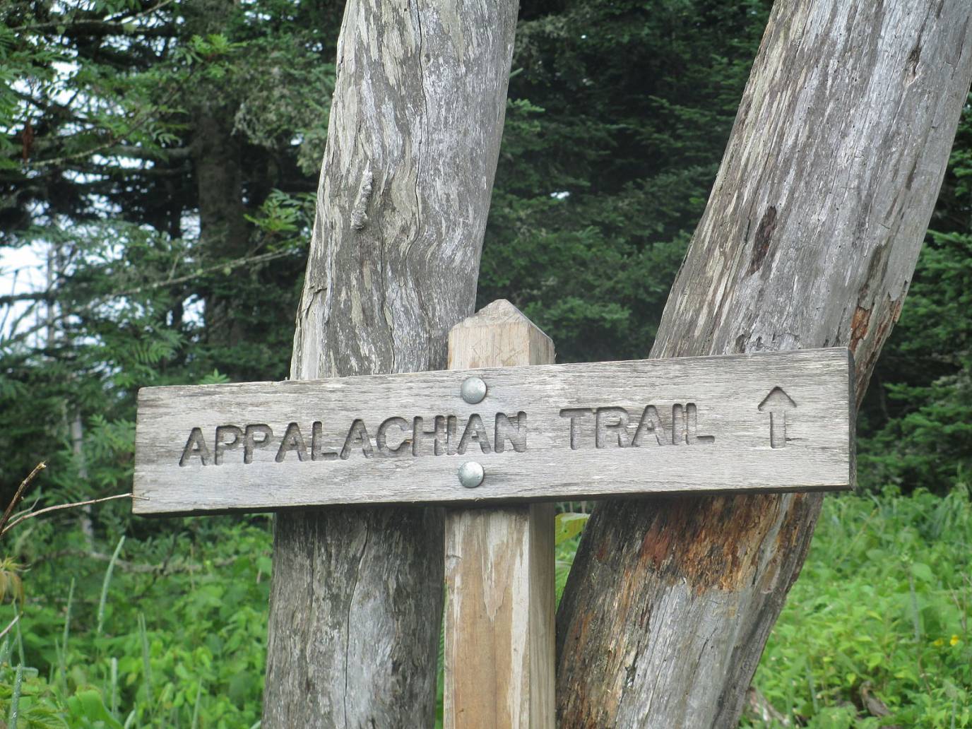Man Arrested in Fatal Appalachian Trail Machete Attack | GearJunkie