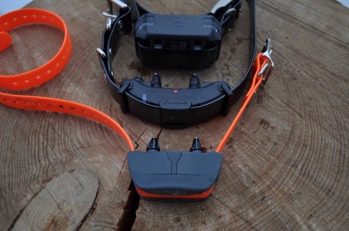 3 Best Remote Dog Collars for the Everyday Working Canine | GearJunkie
