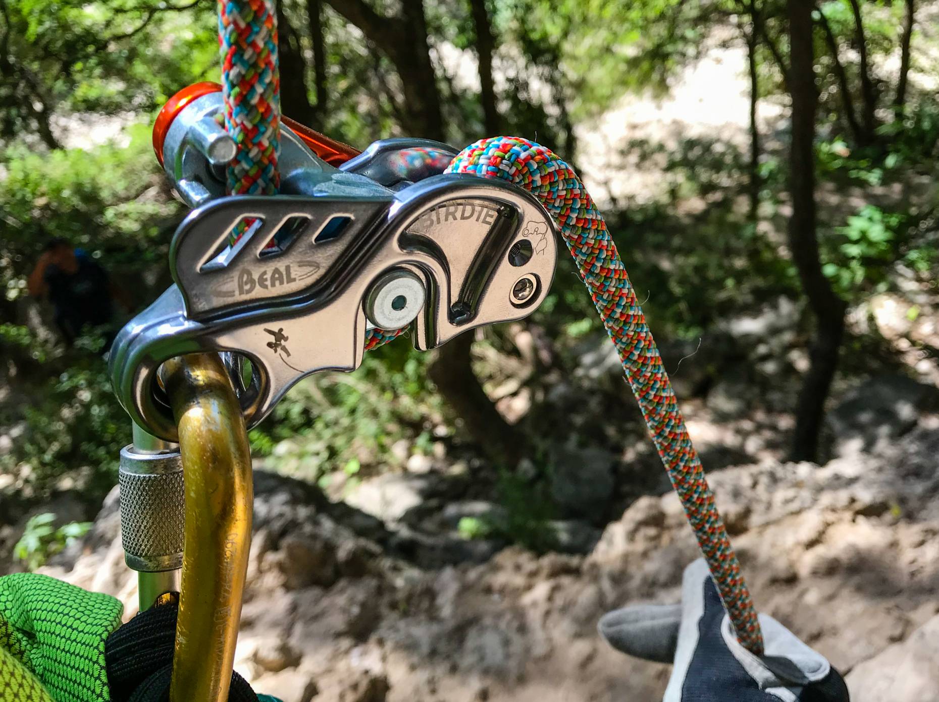 Beal Birdie Review: A New Device for Assisted-Braking Belay | GearJunkie