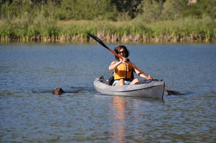 Swell Watercraft Scupper 14: Sit-On-Top Kayak Evolved | GearJunkie