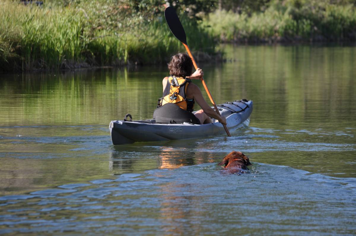 Swell Watercraft Scupper 14: Sit-On-Top Kayak Evolved | GearJunkie