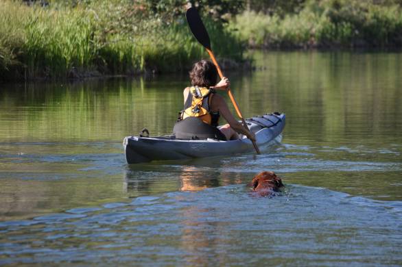 Swell Watercraft Scupper 14: Sit-On-Top Kayak Evolved | GearJunkie