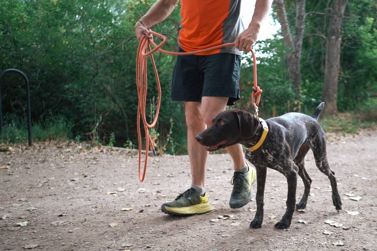 Fi Dog Collar Review: Find Your Pup With GPS | GearJunkie