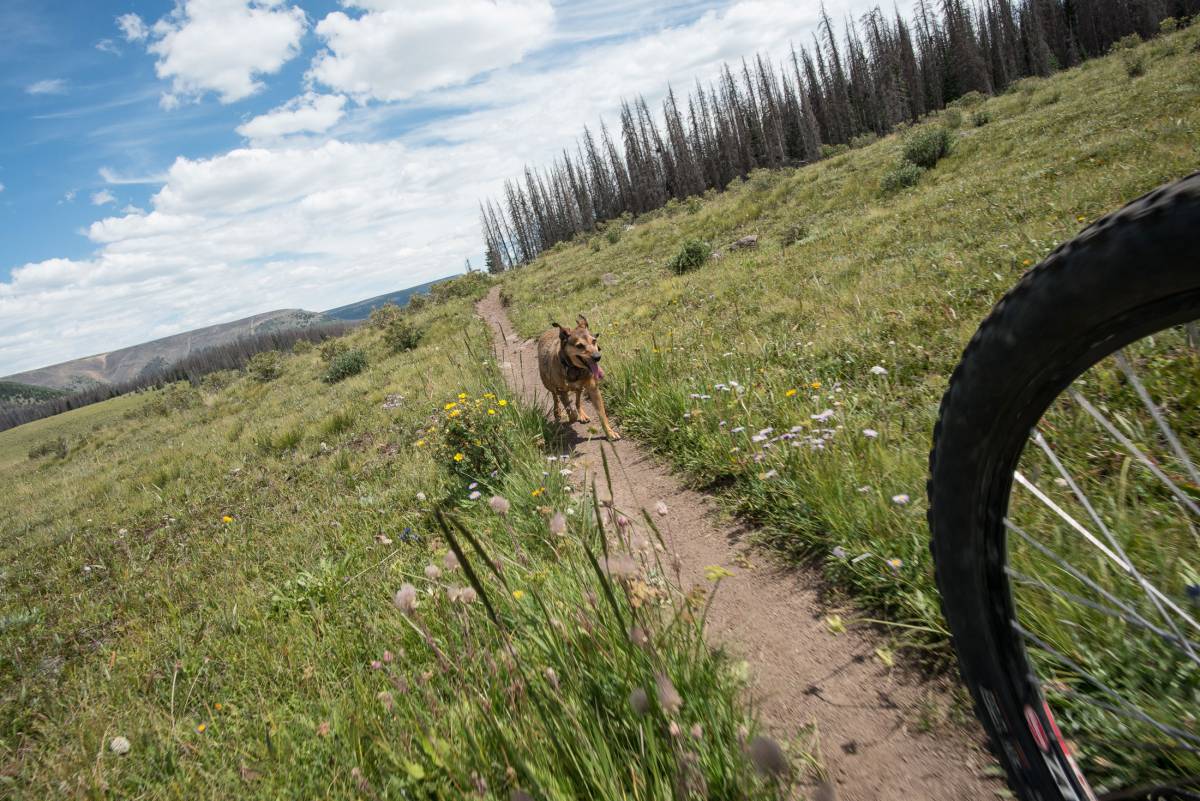 Exploring One of Colorado’s Lost National Monuments | GearJunkie