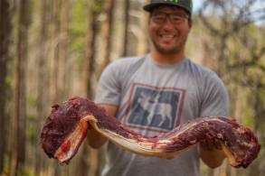 How to Field Dress and Pack Out an Elk | GearJunkie