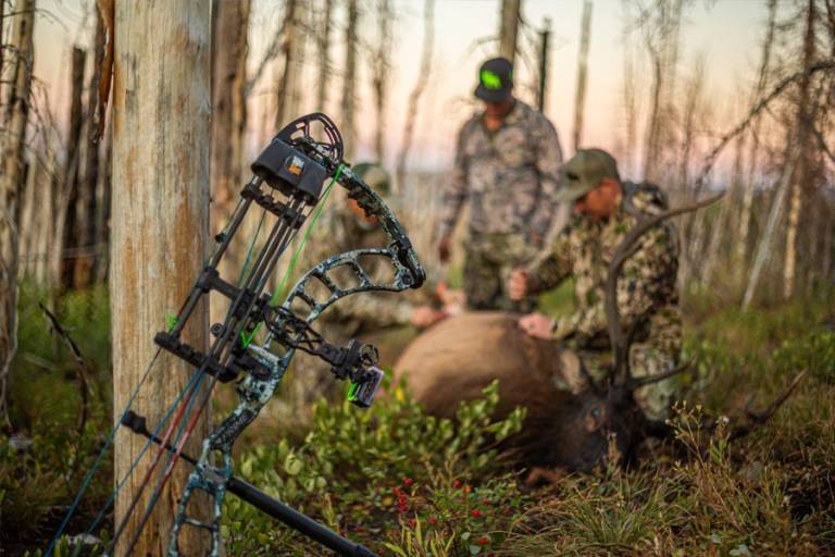 How to Field Dress and Pack Out an Elk | GearJunkie