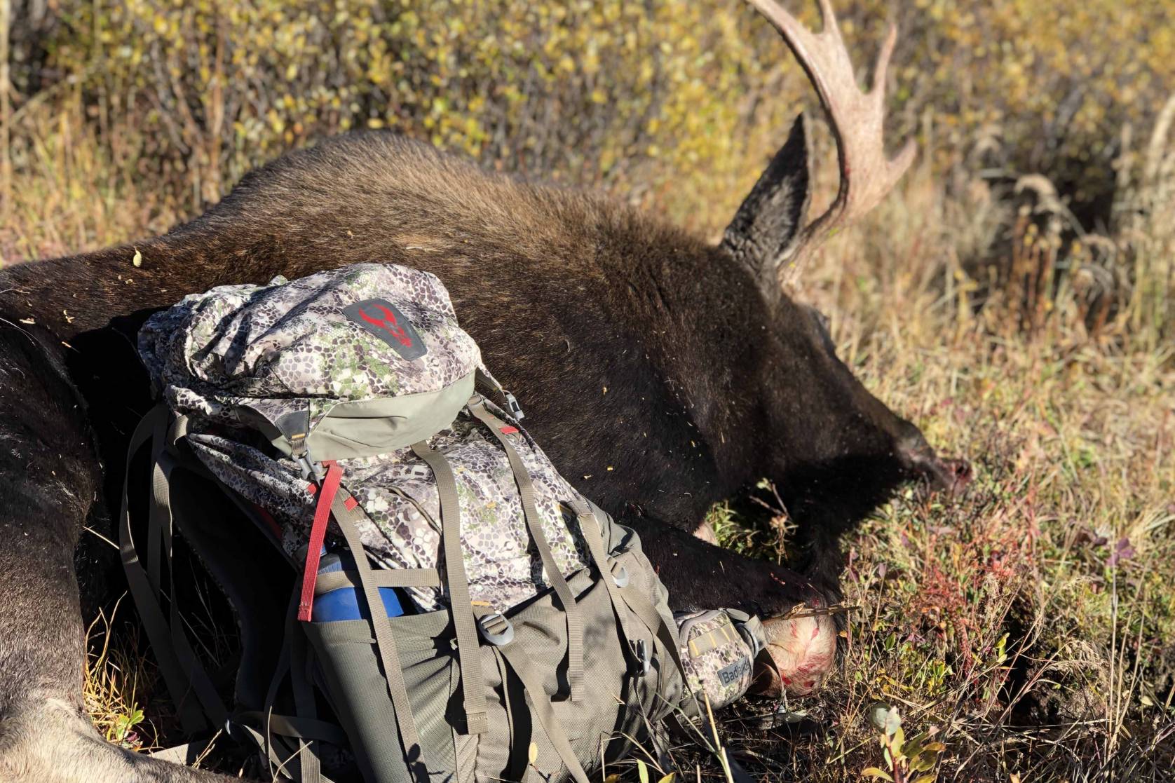 Badlands Vario System Review: Versatile, Comfortable Hunting Pack ...