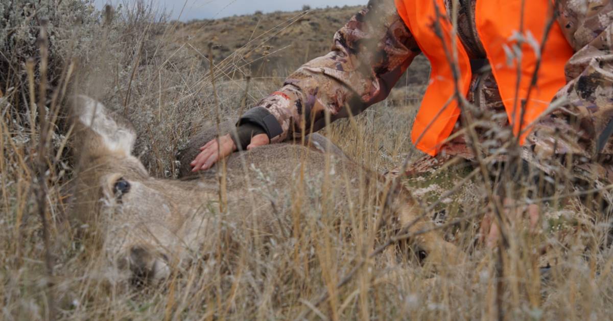 5 Affordable Kitchen Products for Hunters Filling Freezers | GearJunkie