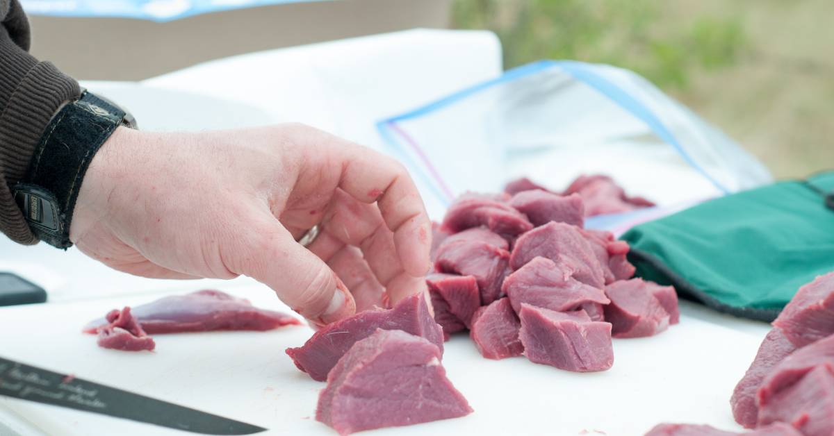 5 Steps to Field Dressing a Deer | GearJunkie