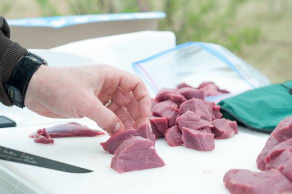 5 Steps to Field Dressing a Deer | GearJunkie