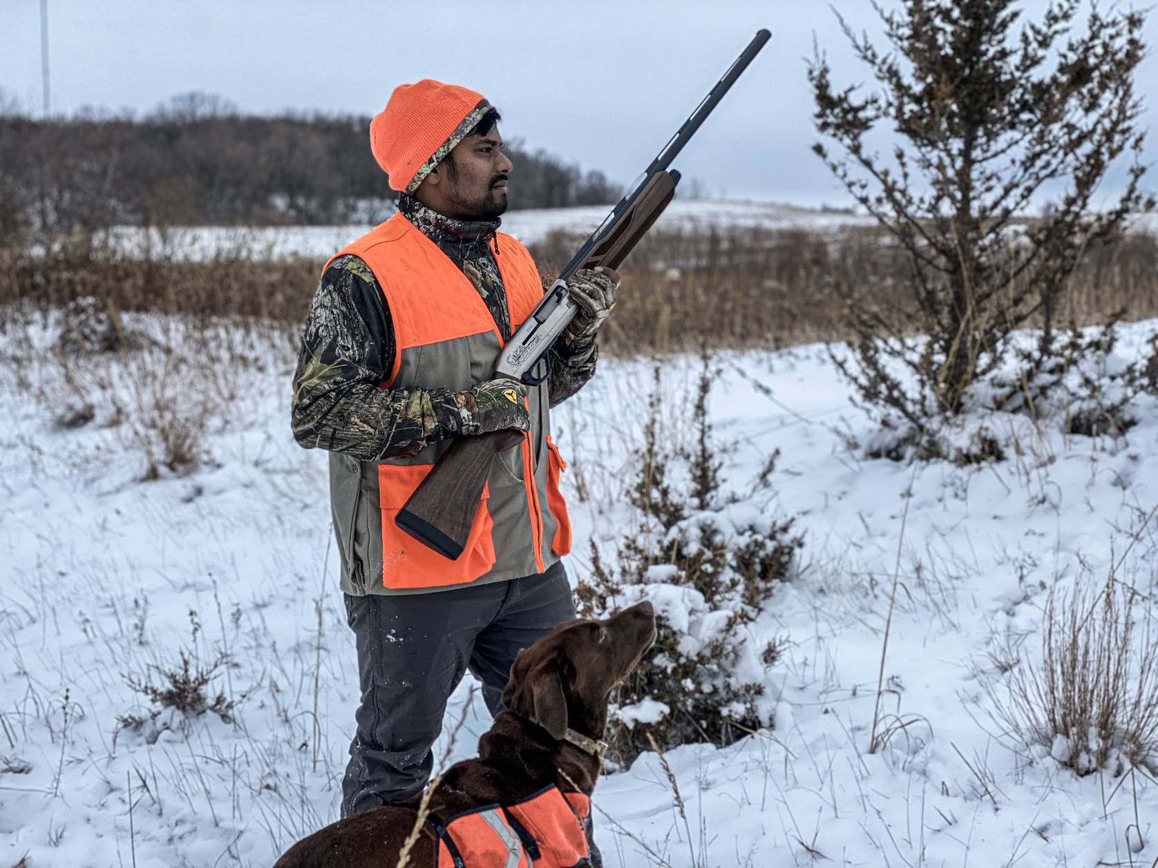 Winchester SX4 Upland Field Review: A New Shotgun With Throwback Design ...