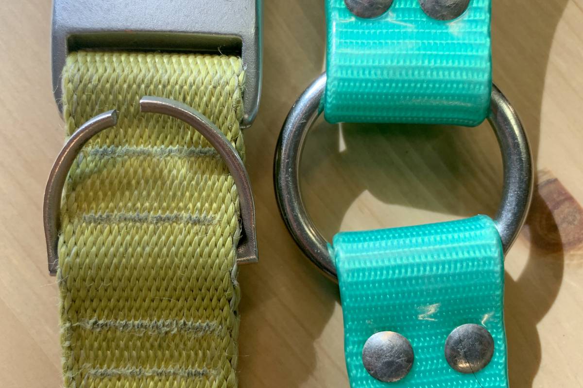 Gear Fail: The Fi Collar Broke, My Dog Got Loose | GearJunkie