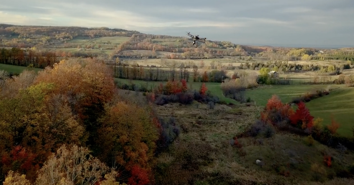 Fund a Forest: How We Can Help Plant 1 Billion Trees With Drones ...