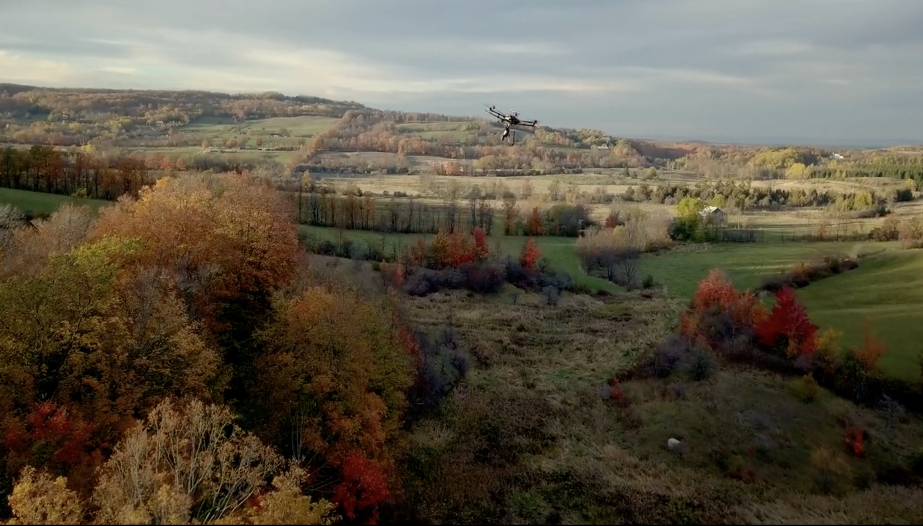 Fund a Forest: How We Can Help Plant 1 Billion Trees With Drones ...