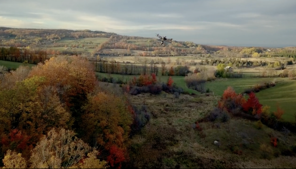 Fund a Forest: How We Can Help Plant 1 Billion Trees With Drones ...
