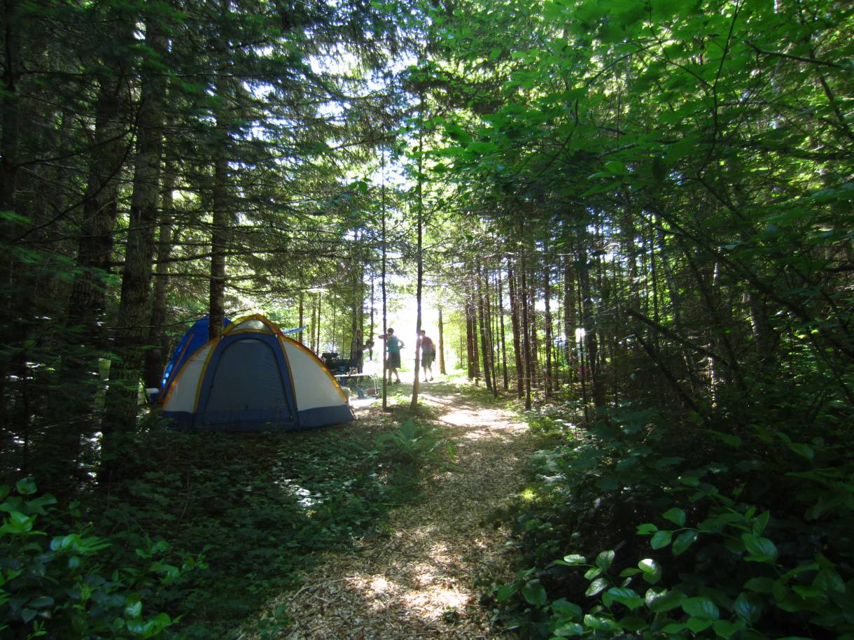 Cabins to Campsites: America's 10 Best Hipcamps | GearJunkie