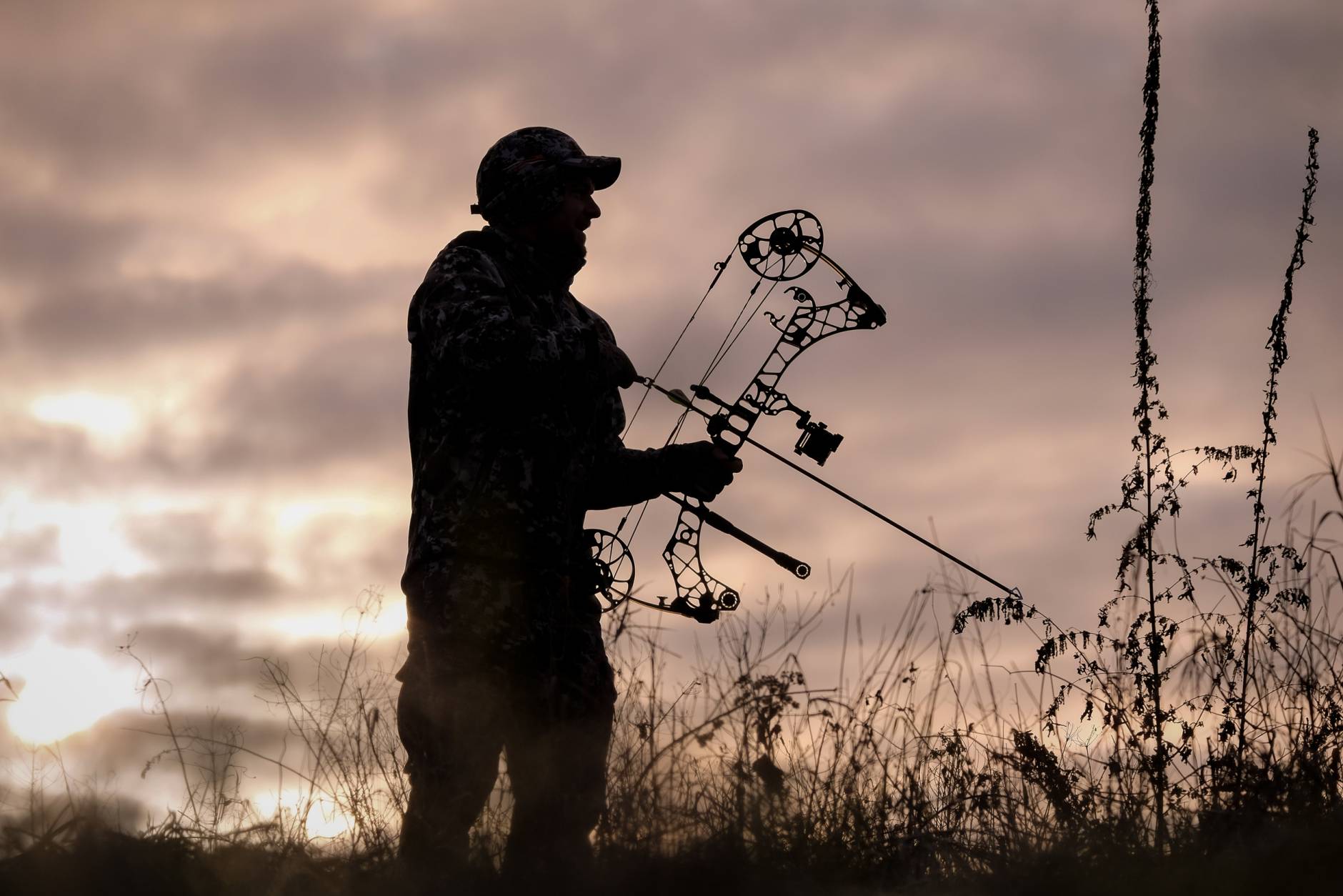 2020 Mathews VXR Review: A Bow That's Plain Fun to Shoot | GearJunkie