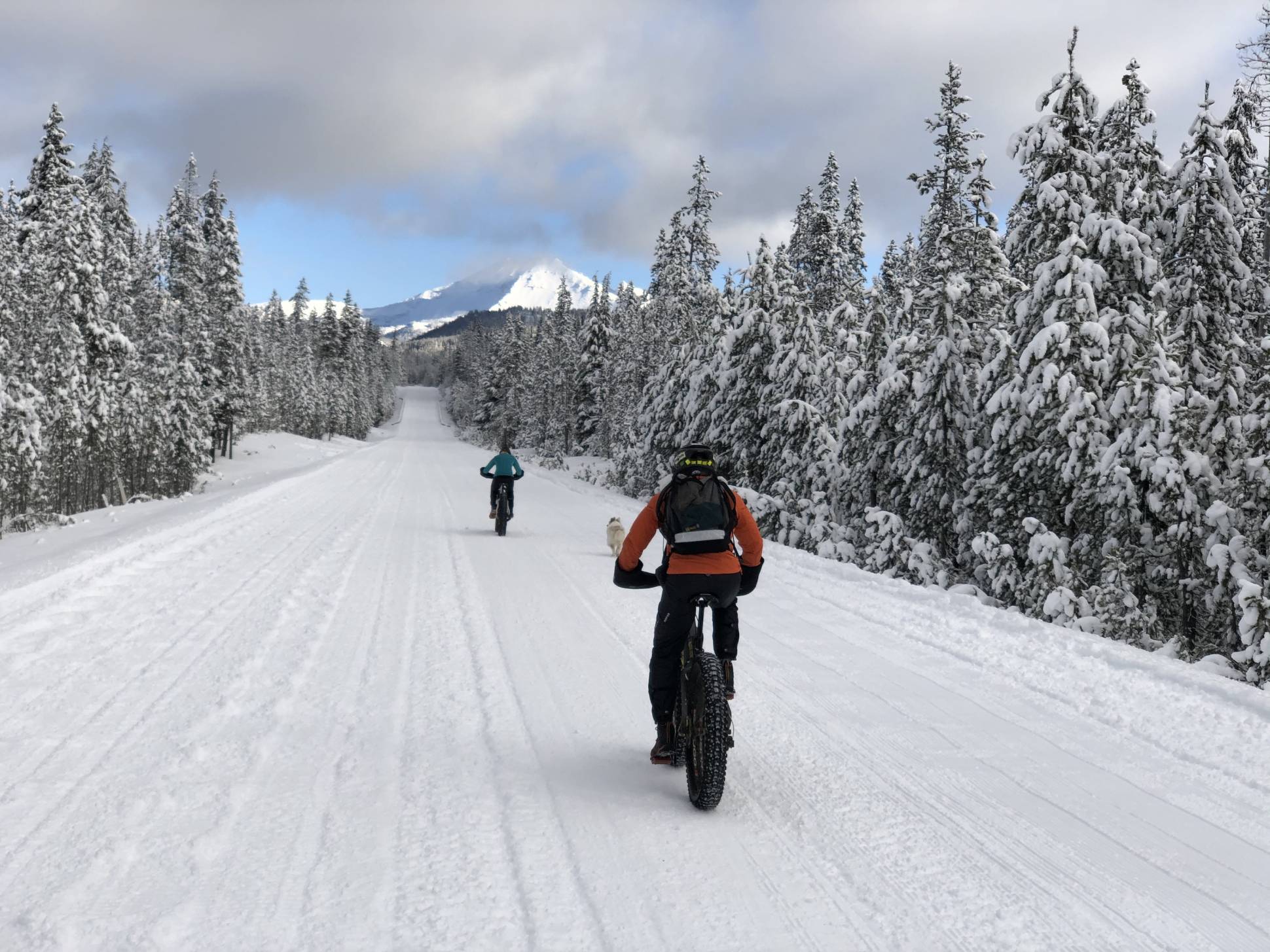 Fat Bike Basics: 11 Tips for Winter Biking | GearJunkie