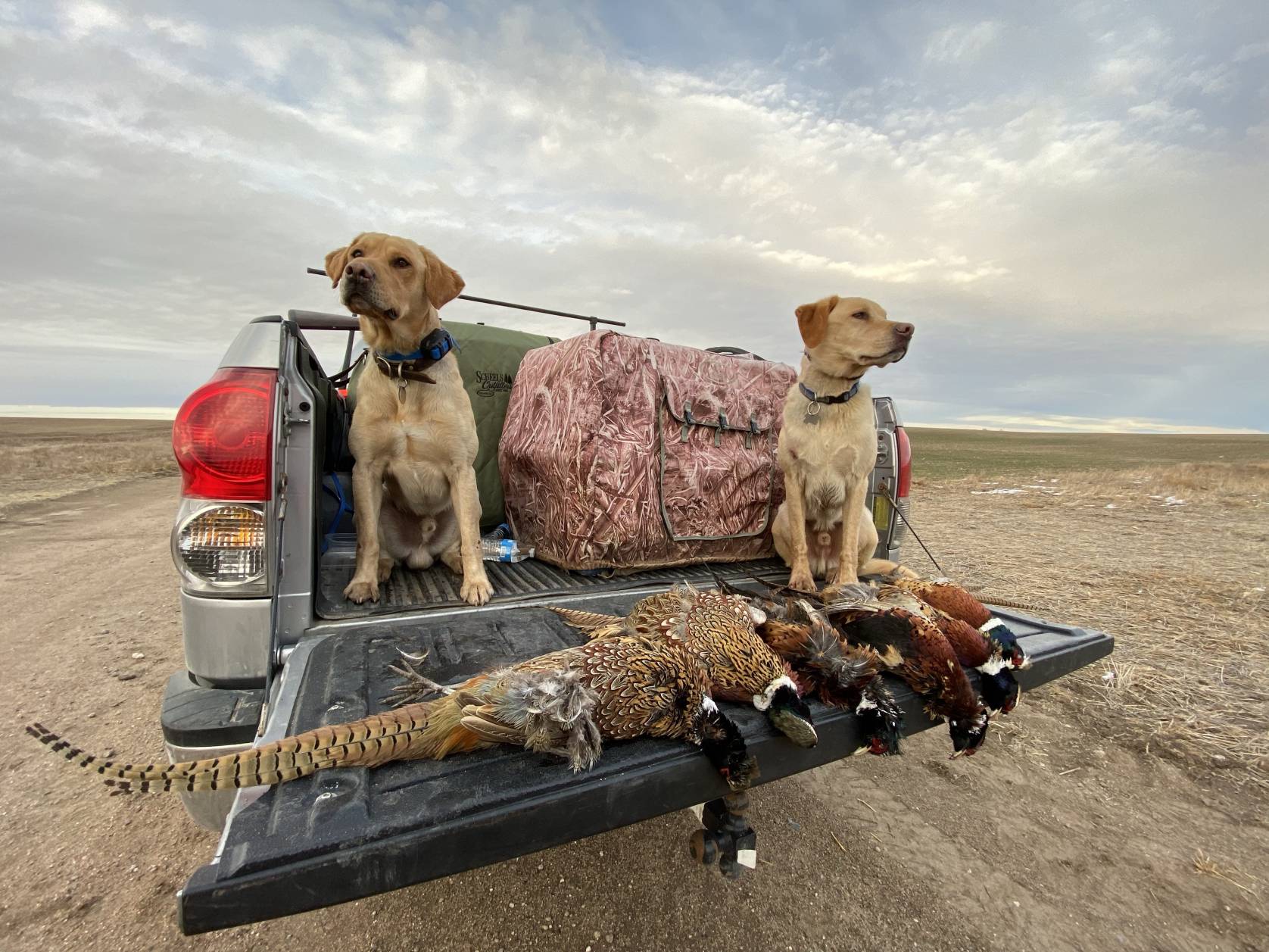 How to Find Late-Season Upland Hunting | GearJunkie