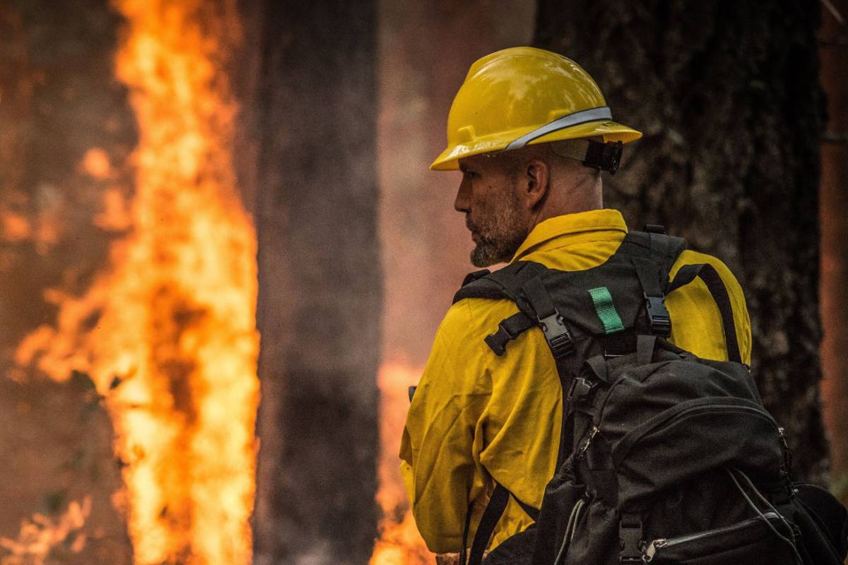 Intuitive Bike Lights, IKEA for Van Life, and More: Meet 'The Pitch ...