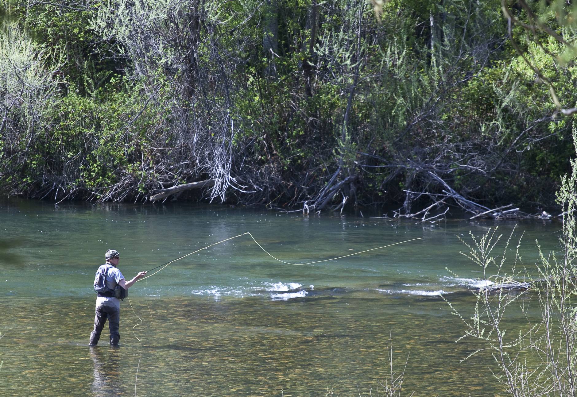 Streamer Fishing: Essential Tips to Catch Huge Fish This Spring ...