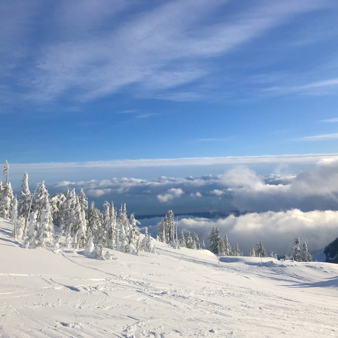 'Anywhere From Here': Skiing and Surfing on Vancouver Island | GearJunkie