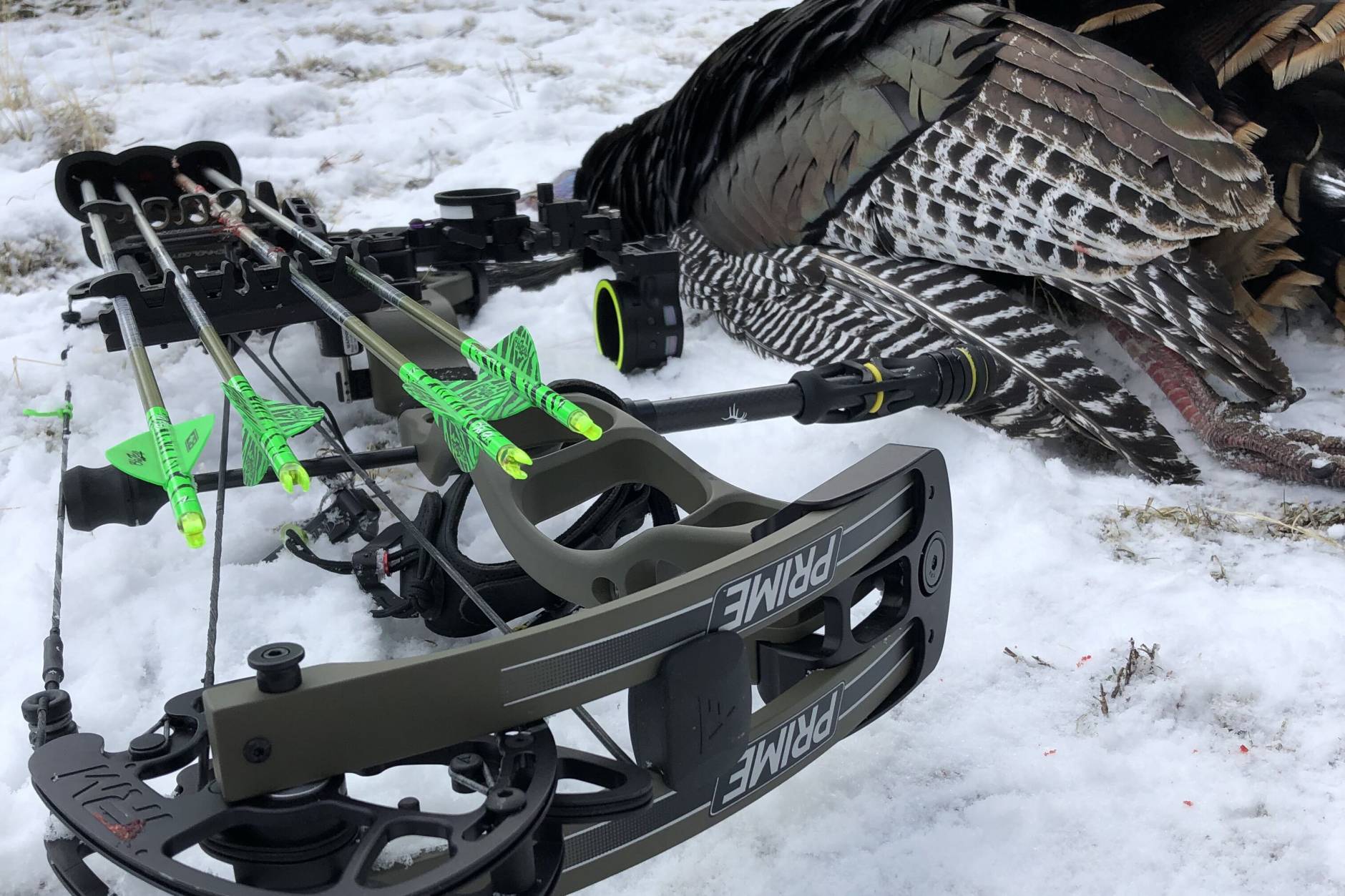 Arrows for Compound Archery: Easton Taper T64 FMJ Field Test | GearJunkie
