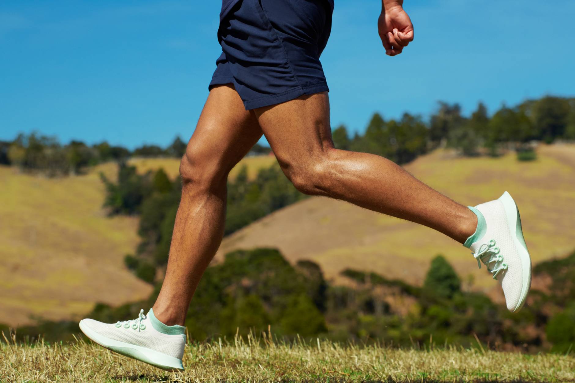 Allbirds' First Running Shoe: Knit 'Dasher' Review | GearJunkie