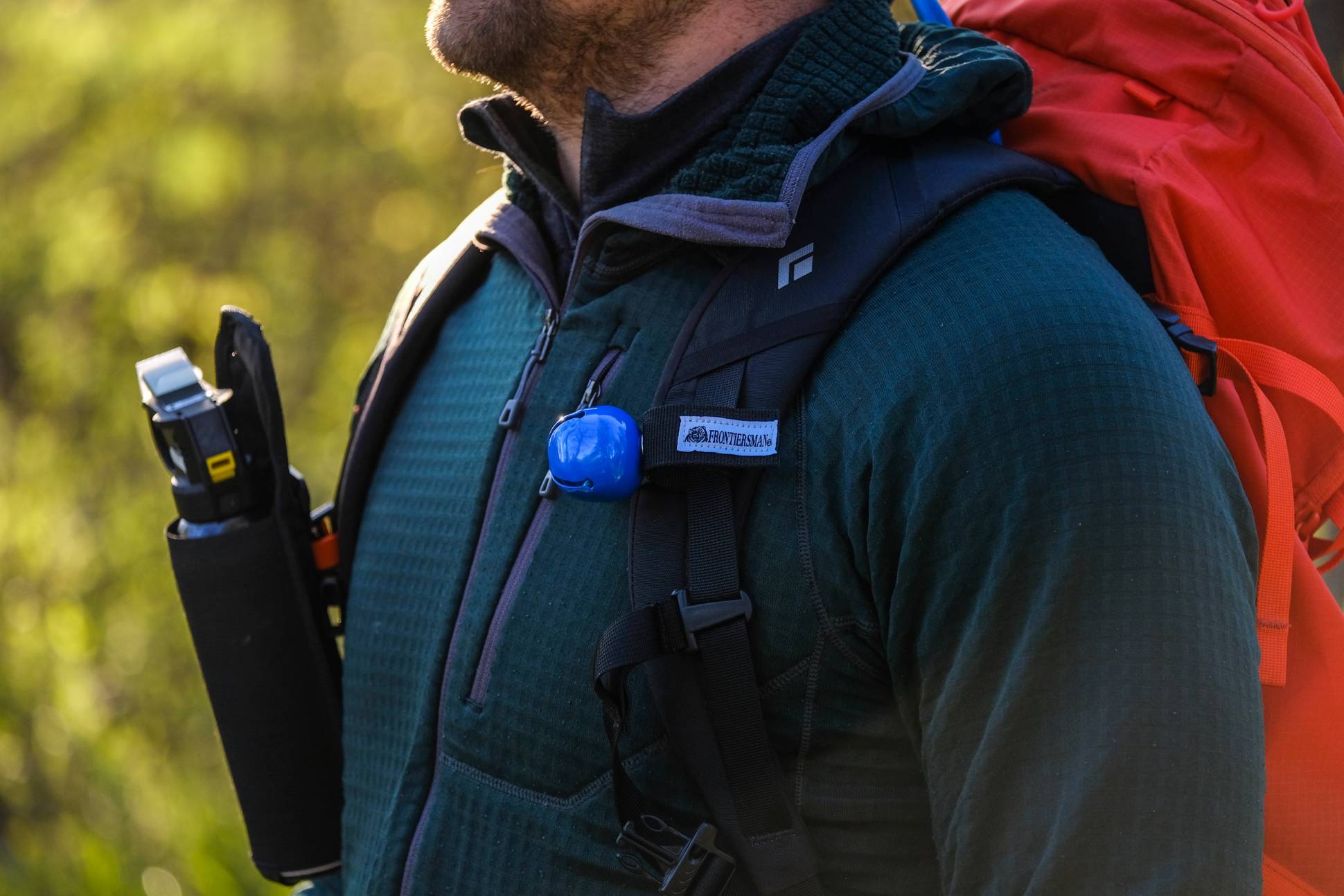 Bear Safety in the Backcountry