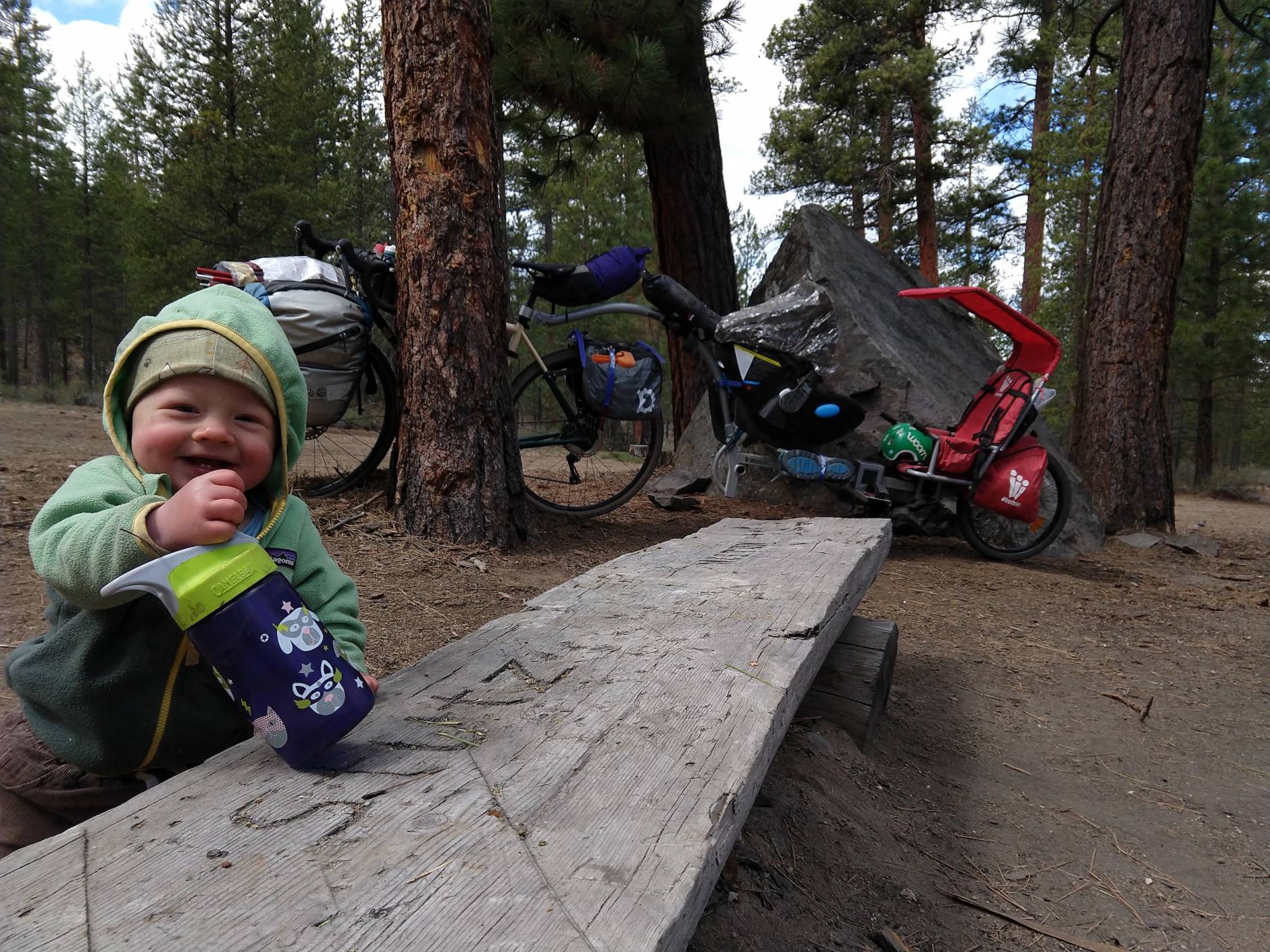 Bikepacking With Kids: The Gear I Used | GearJunkie
