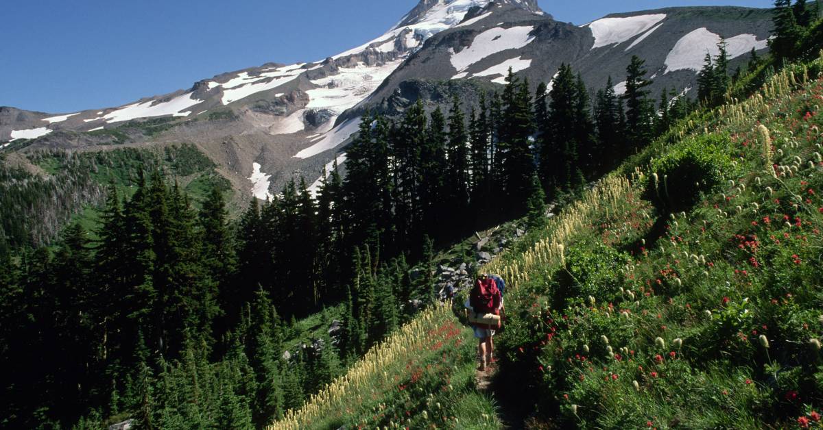 Explore 7 of the Best Hikes Near Portland | GearJunkie