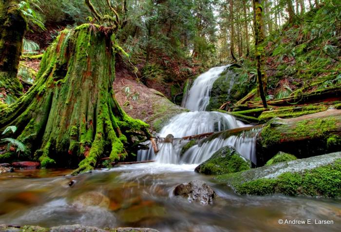 Explore These 6 Best Hikes Near Seattle | GearJunkie