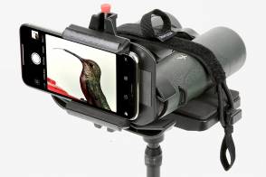 How to Start Birding: What Gear Do You Really Need? | GearJunkie
