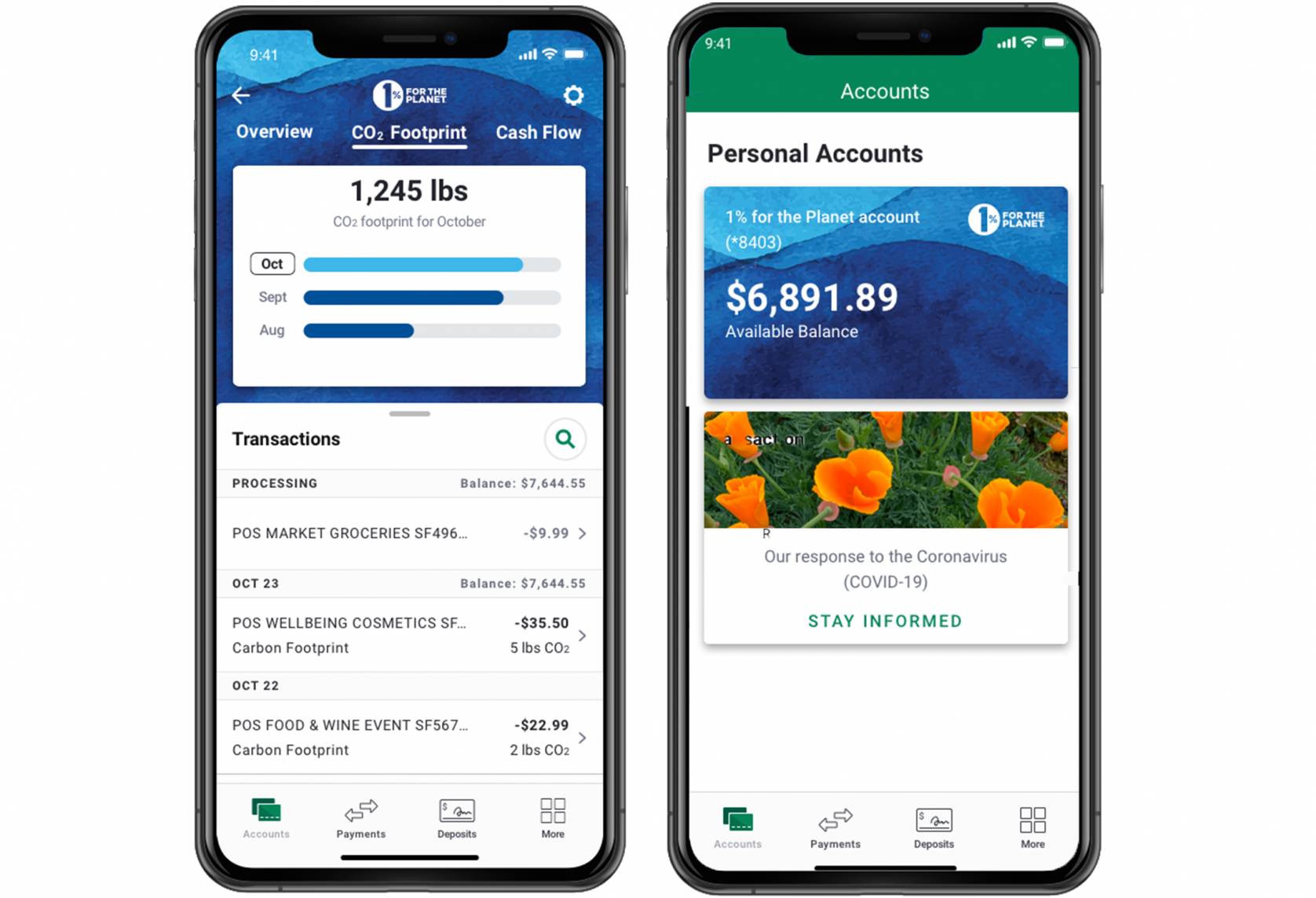 Climate-Friendly Debit Card: Meet the First Carbon-Tracking Bank ...