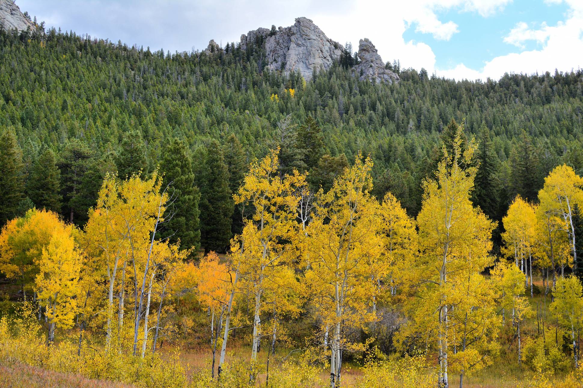 The 10 Best Hikes Near Denver | GearJunkie