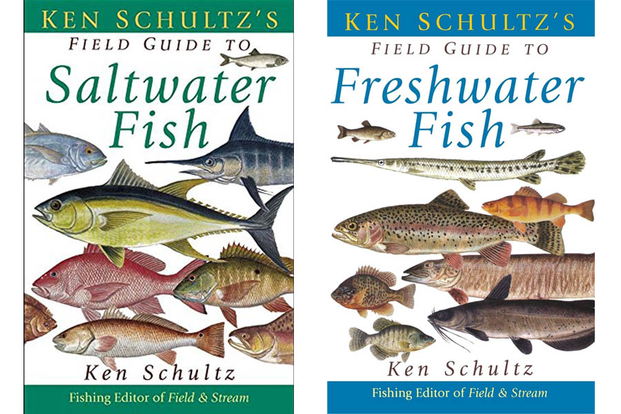 Learn How to Fish: 5 Books for Beginning Anglers | GearJunkie