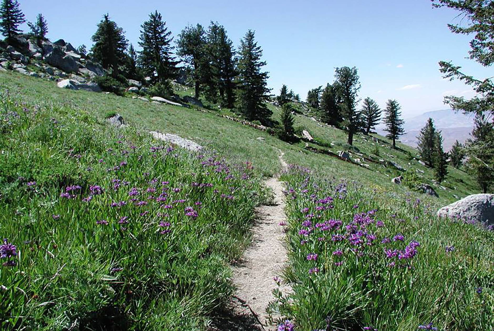The 6 Best Hikes Near Boise | GearJunkie