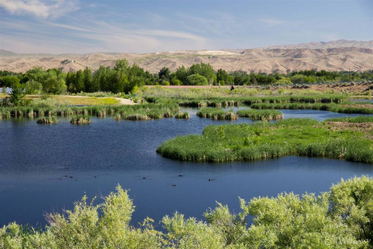 The 6 Best Hikes Near Boise | GearJunkie