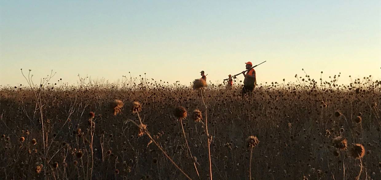 Pheasant Hunting: How to Get Started | GearJunkie