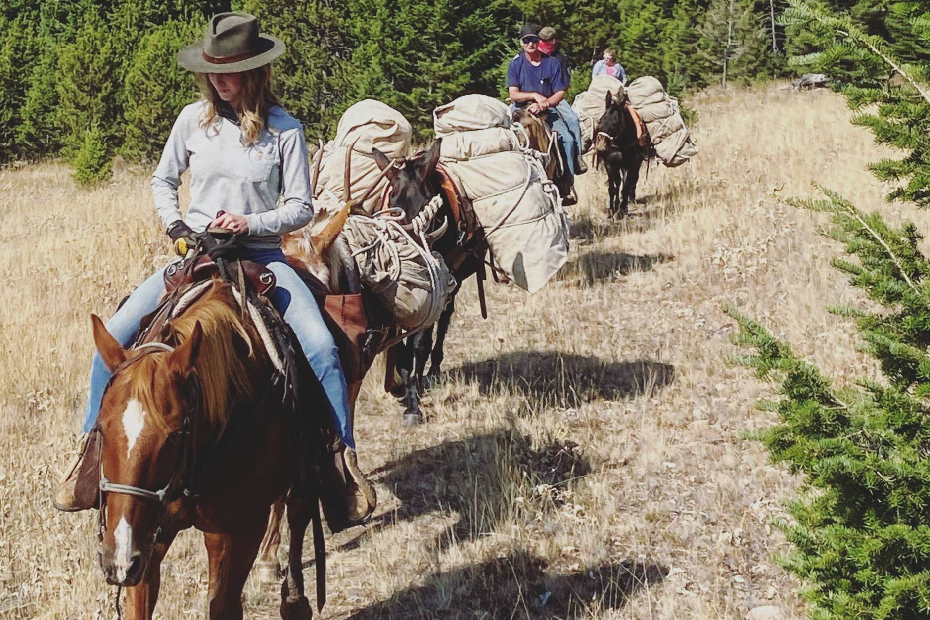 Packing Mules & Horses: A Weekend at the Royal Tine Guide School ...