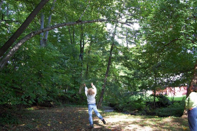 How to Hang a Bear Bag 101 | GearJunkie