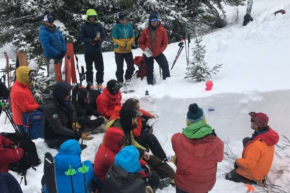 AIARE Goes Virtual: Select Avalanche Safety Courses Available Online ...