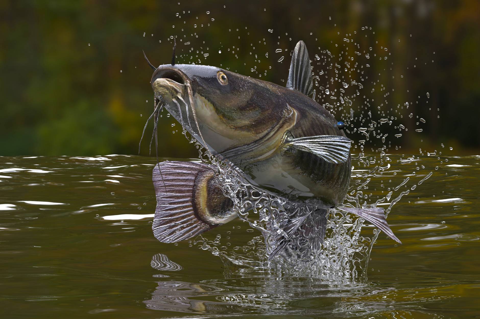 How to Catch Catfish: 4 Ways to Land That Lunker | GearJunkie