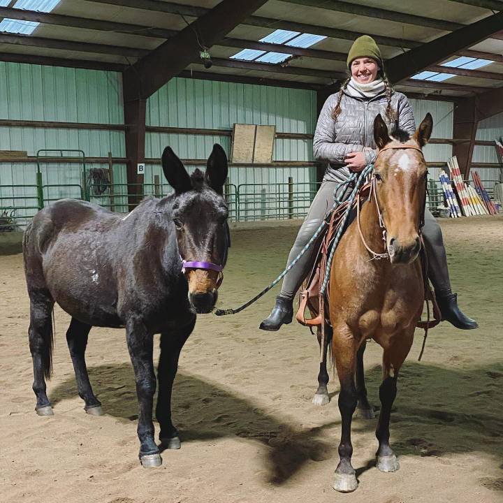 My Retired Forest Service Mule Went Viral: Here's Her Story | GearJunkie