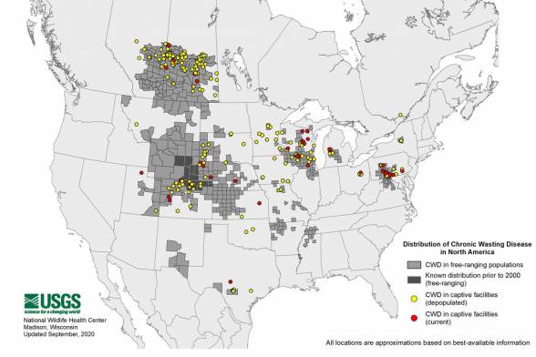 5 Ways Hunters Can Prevent Spreading Chronic Wasting Disease | GearJunkie