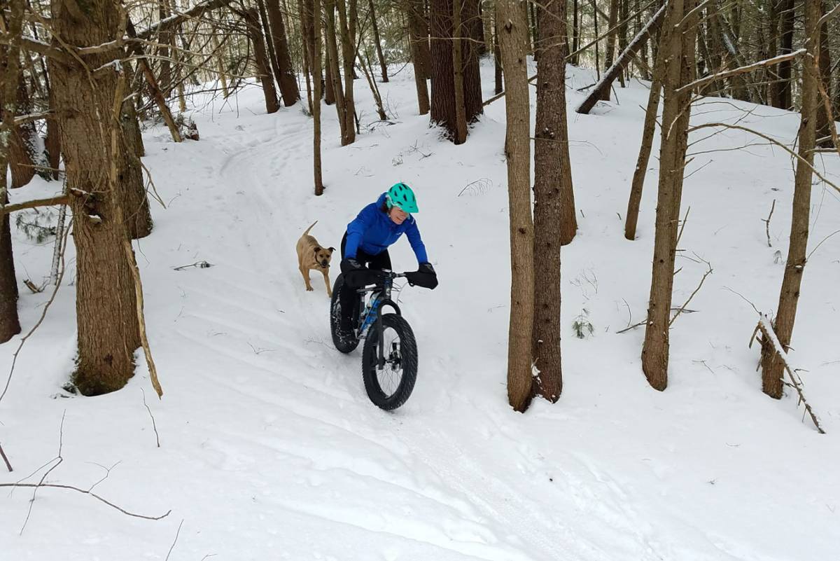 The Best Fat Tire Bikes of 2025 | GearJunkie Tested