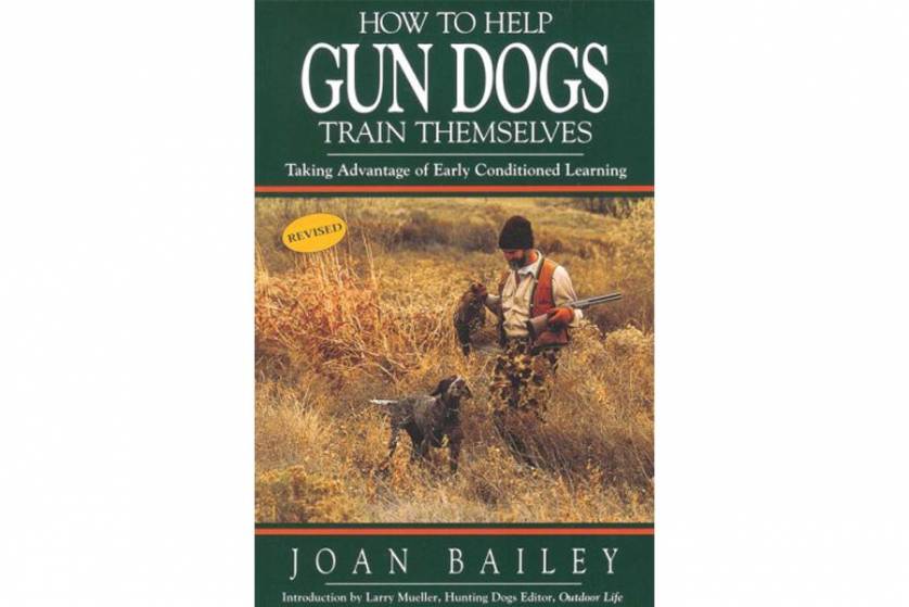 5 Books to Help Train Your Hunting Dog | GearJunkie
